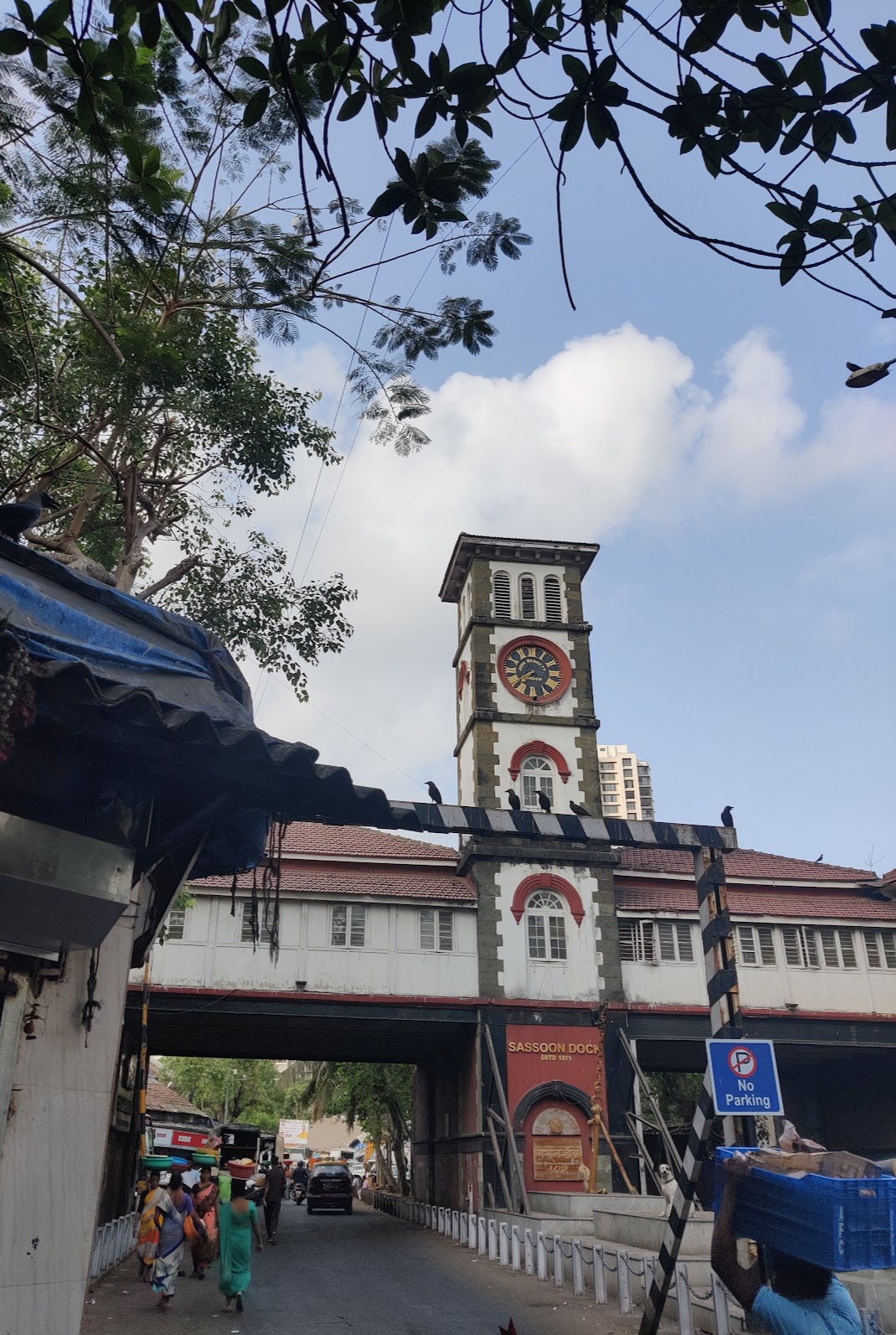 Walk through Mumbai’s oldest dock, meet its fishing community ...