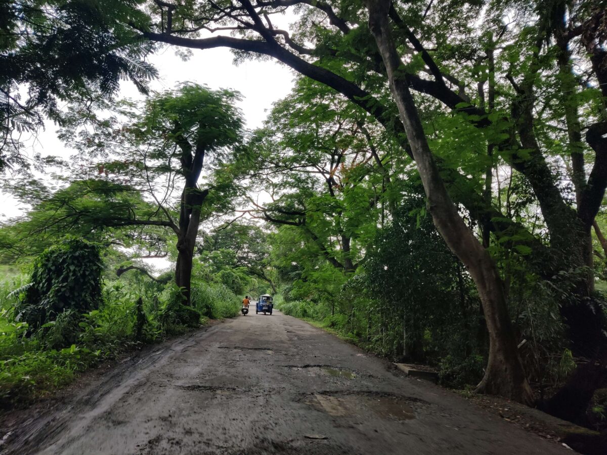If Aarey shrinks, Mumbai will gasp for breath - Question of Cities