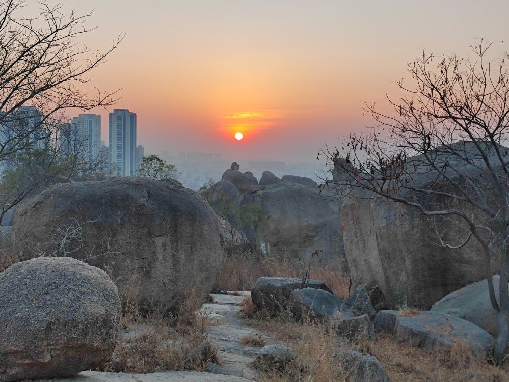 Hyderabad’s Khajaguda Rocks and its ecology yield to posh urban spaces ...