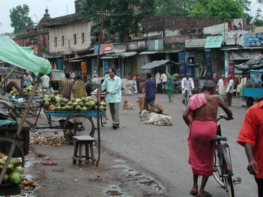 Bhubaneswar’s urbanisation caught between old temple town and new city ...