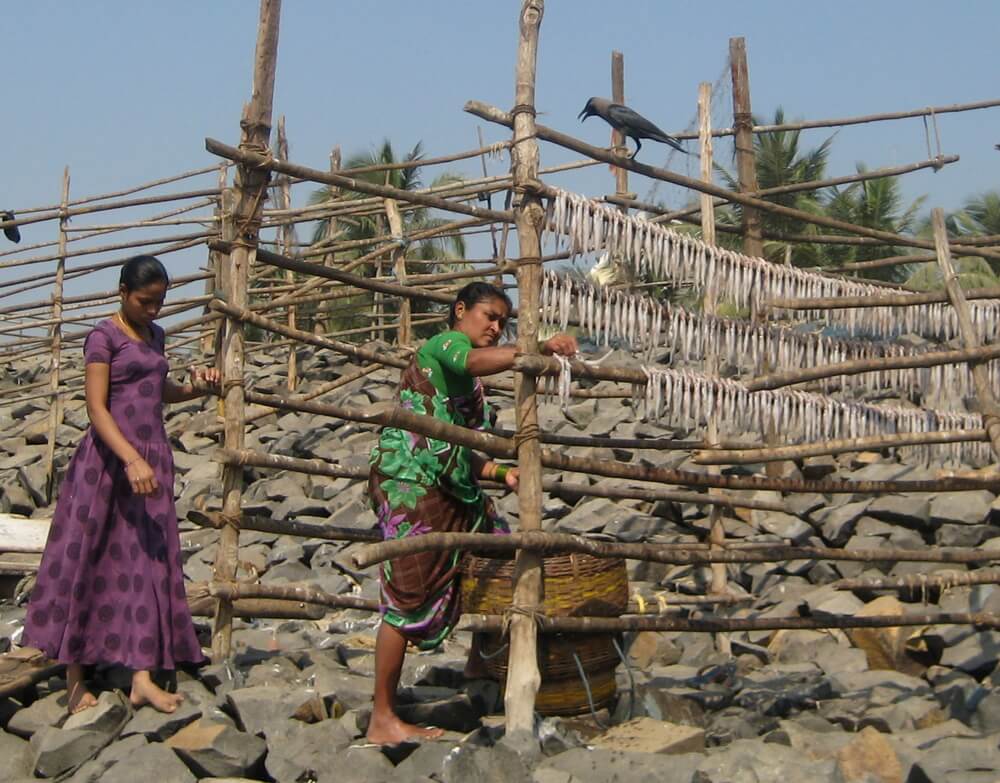 Mumbai’s Kolis are living on the edge on their own turf - Question of ...