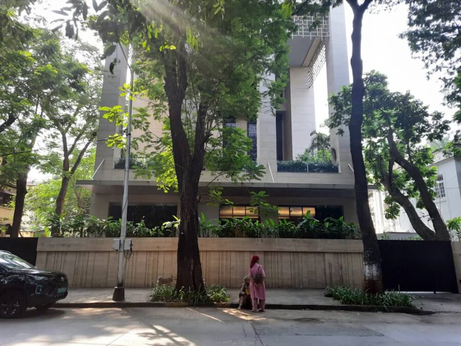 Walking through a green Mumbai, meeting special and rare trees ...