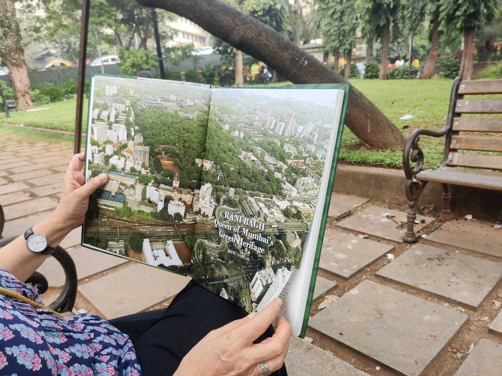 Walking through a green Mumbai, meeting special and rare trees ...