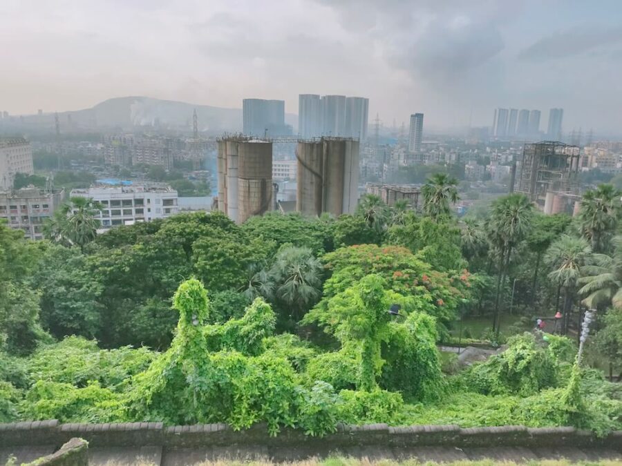 Mumbai’s urban forests are missing and unrecognised: Report - Question ...