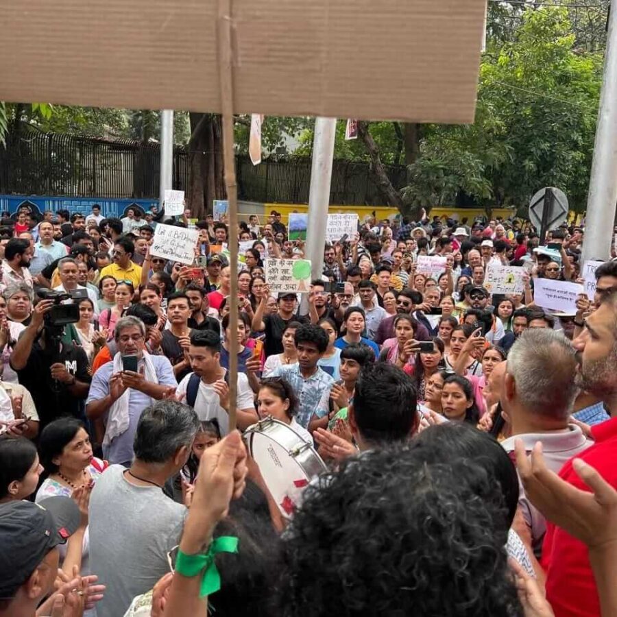 Trees and urban forests under attack in cities - and what to do about ...