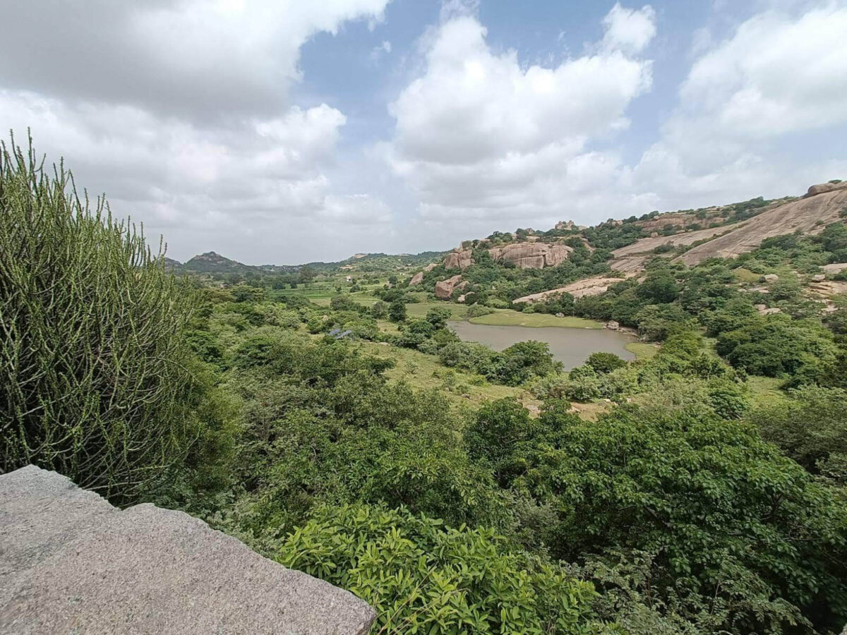 Blue green infrastructure: The commodification of nature - Question of ...