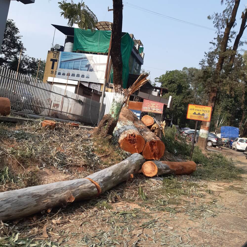 Dehradun model of development is unsustainable, ecologically hazardous ...