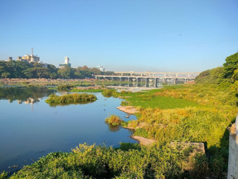 Why Pune’s riverfront development is a bad idea - Question of Cities