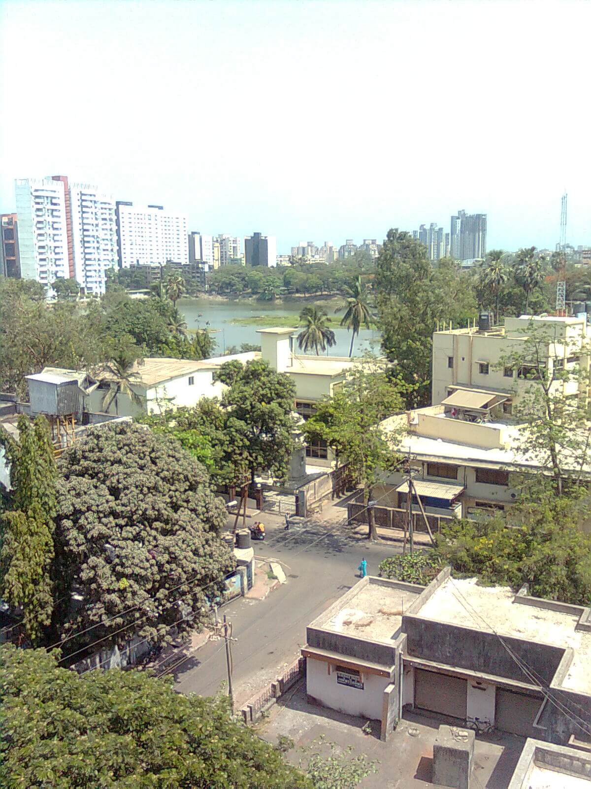 Tree warriors of Thane and Navi Mumbai on their toes - Question of Cities
