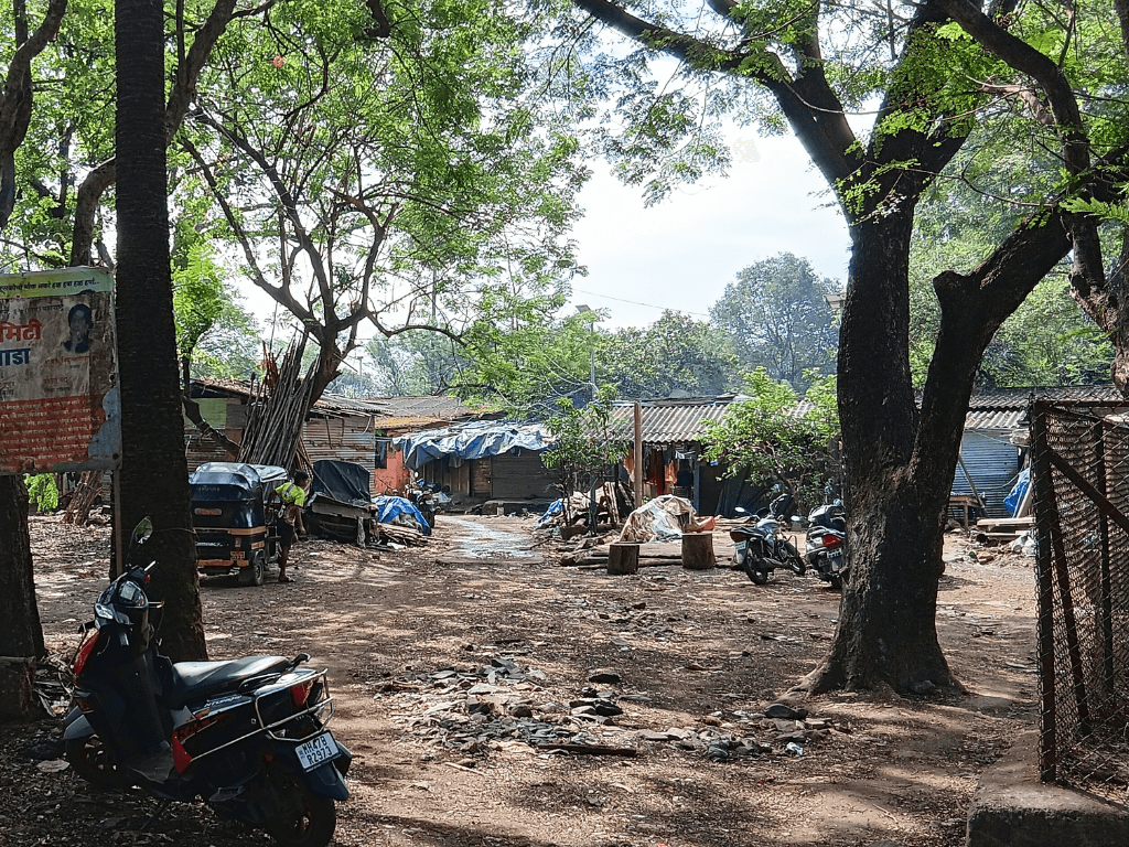 ‘Protecting SGNP is people’s movement, has always been’ - Question of ...