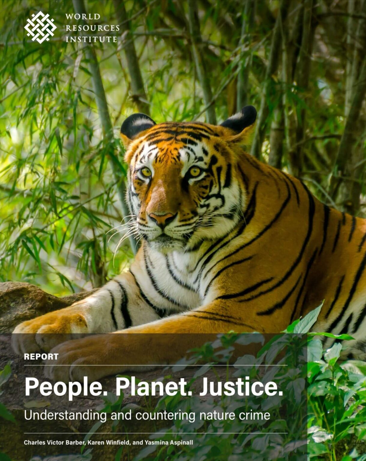 People, planet, justice: Understanding and countering nature crime ...